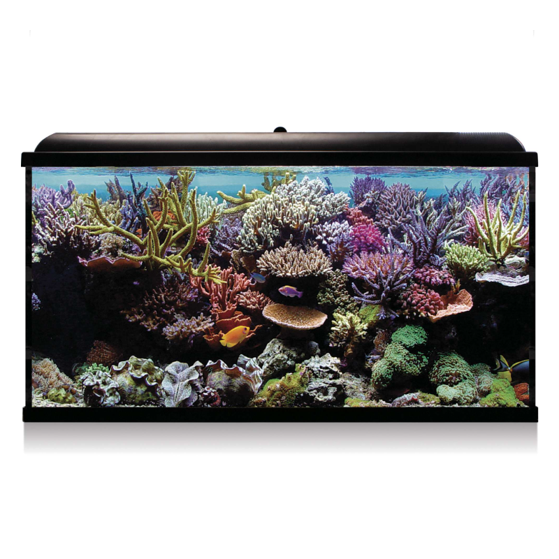 Aqua LED Pro HYDRA 300 – Acuario marino 300 L con LED